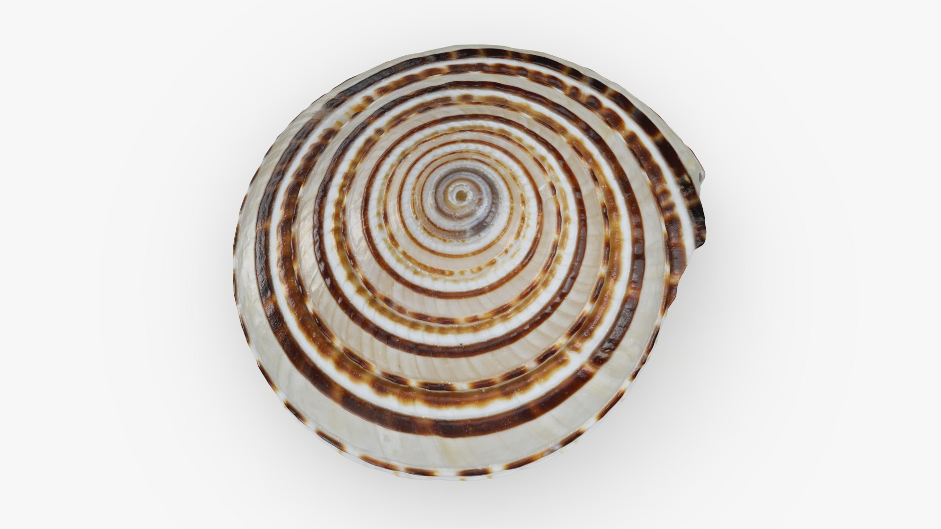 Architectonica Perspectiva 3D - TurboSquid 2367972