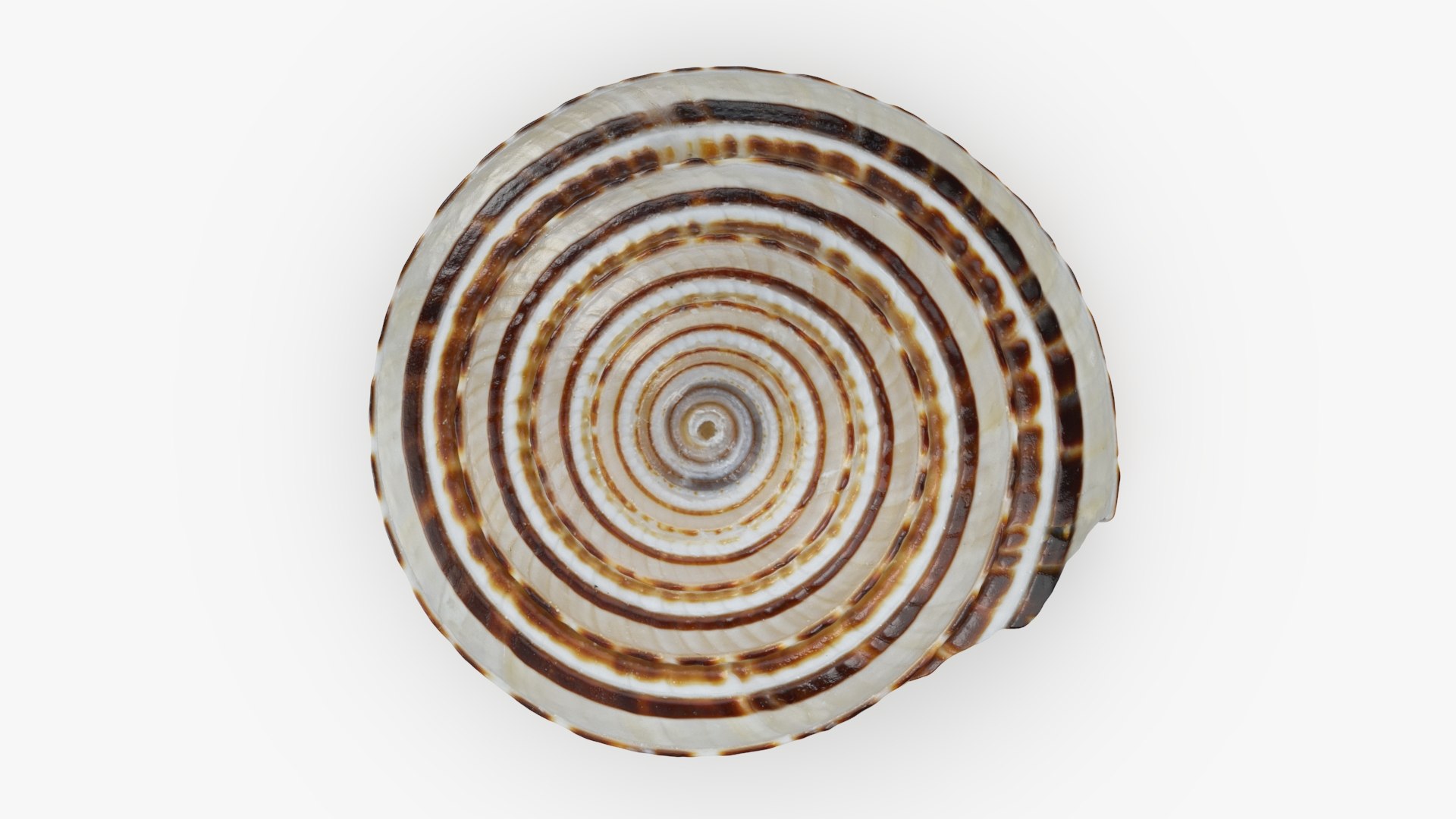 Architectonica Perspectiva 3D - TurboSquid 2367972