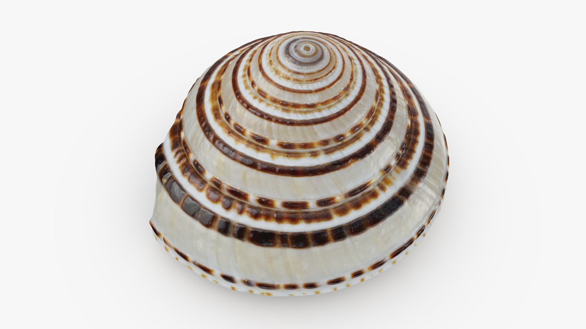 Architectonica Perspectiva 3D - TurboSquid 2367972