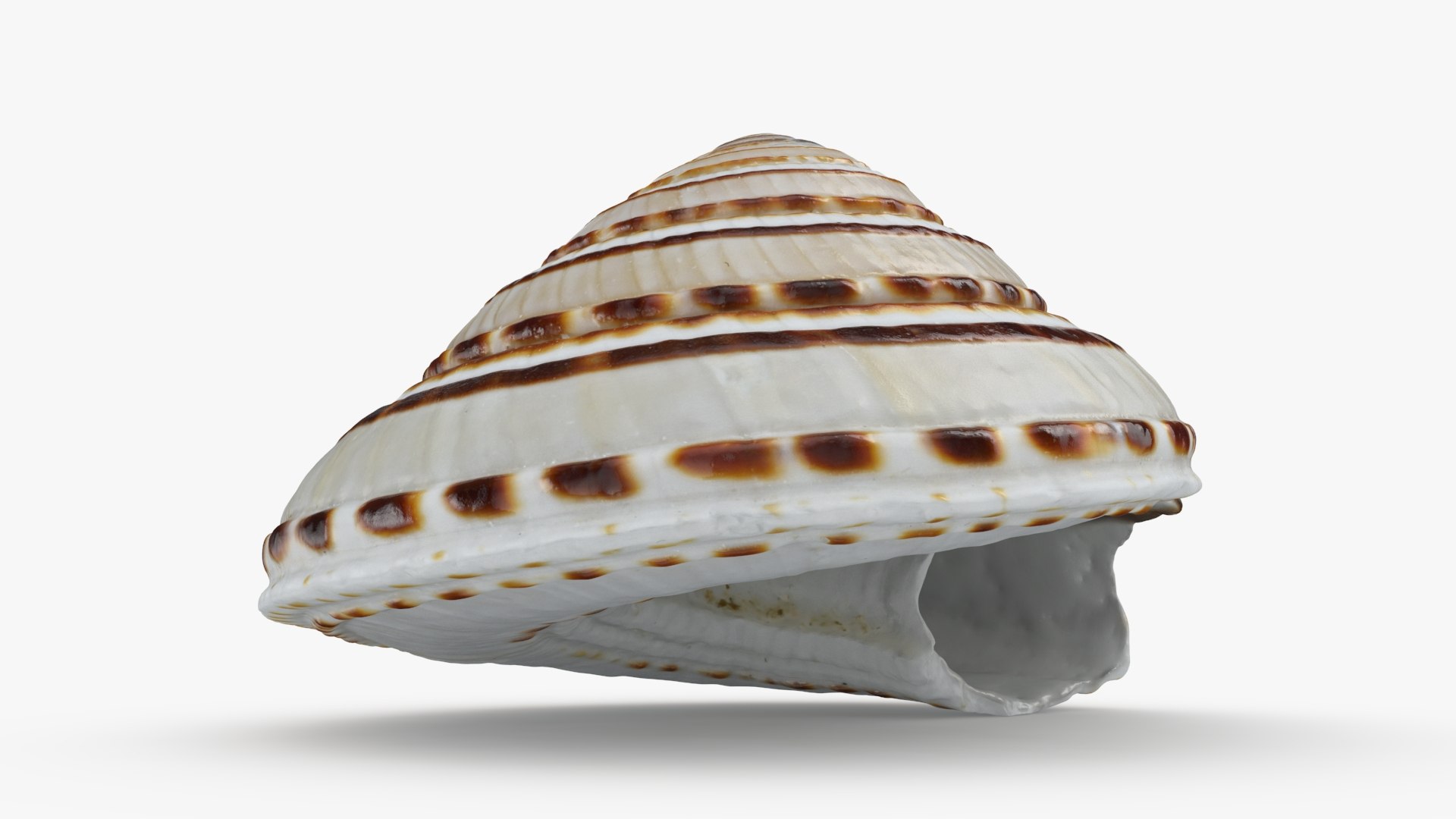 Architectonica Perspectiva 3D - TurboSquid 2367972