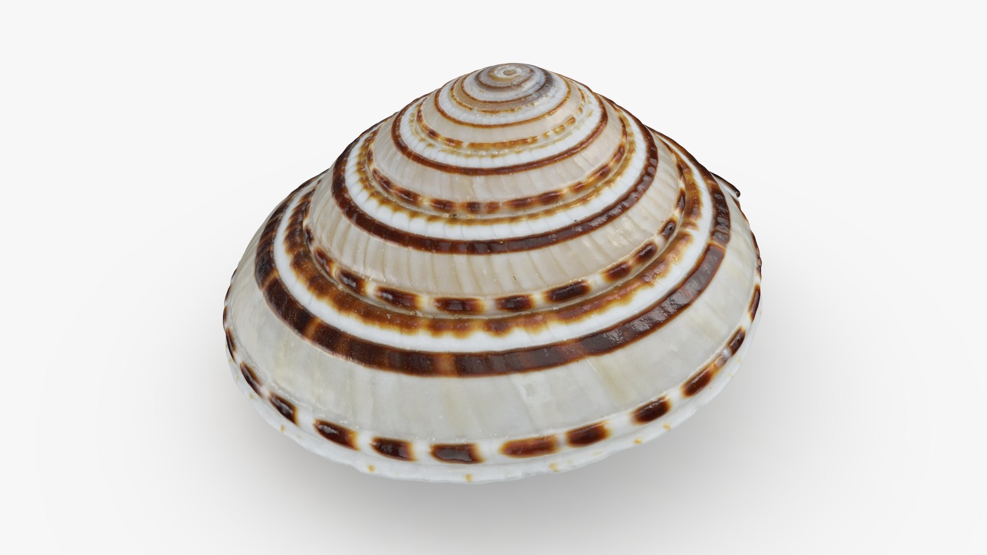 Architectonica Perspectiva 3D - TurboSquid 2367972