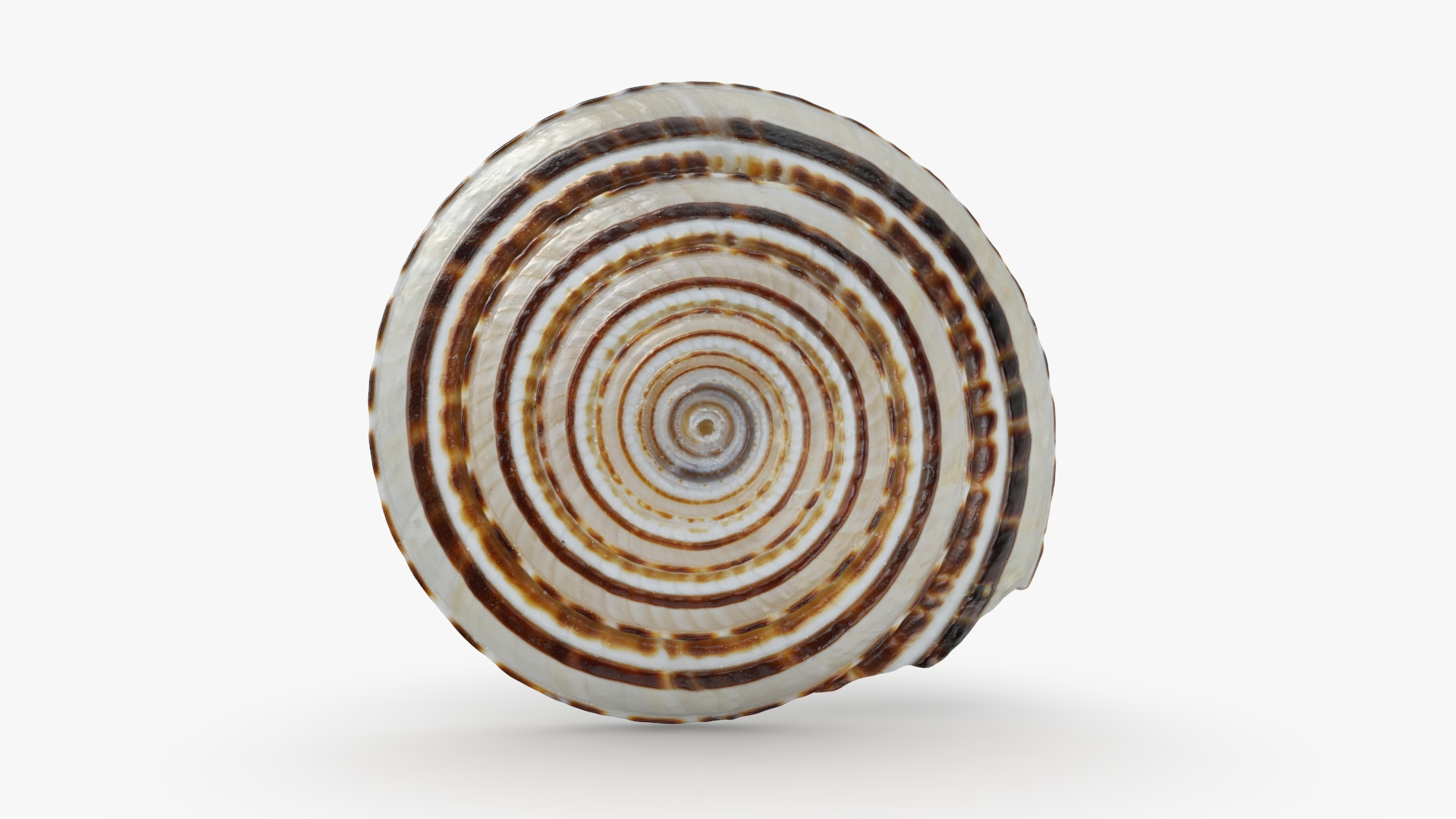 Architectonica Perspectiva 3D - TurboSquid 2367972