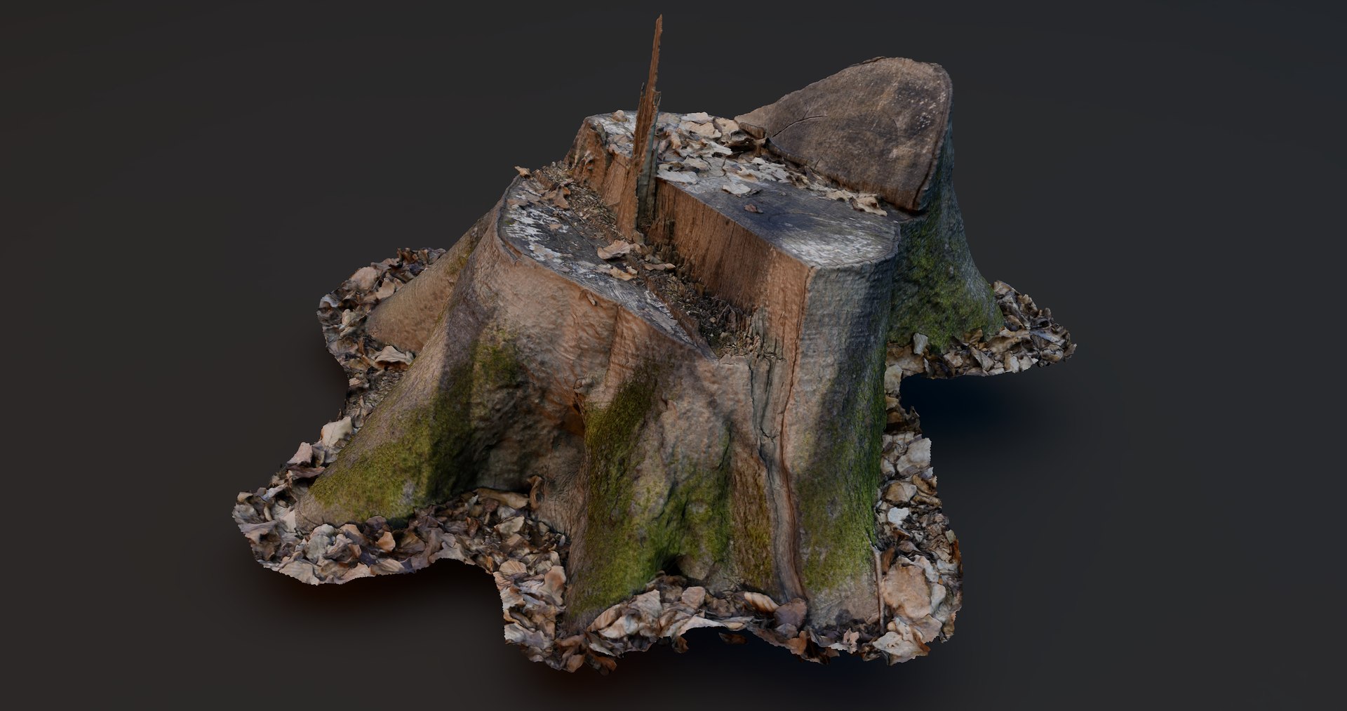 3D tree stump model - TurboSquid 1391821