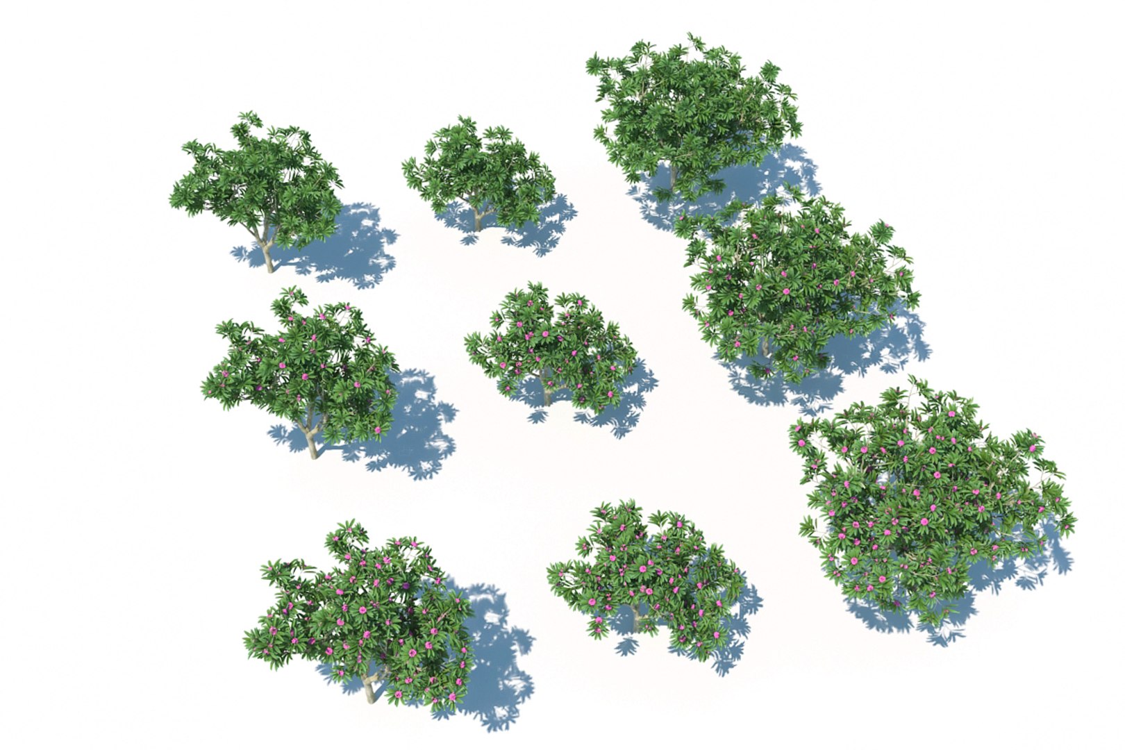 Tree wind animation 3D model - TurboSquid 1505872