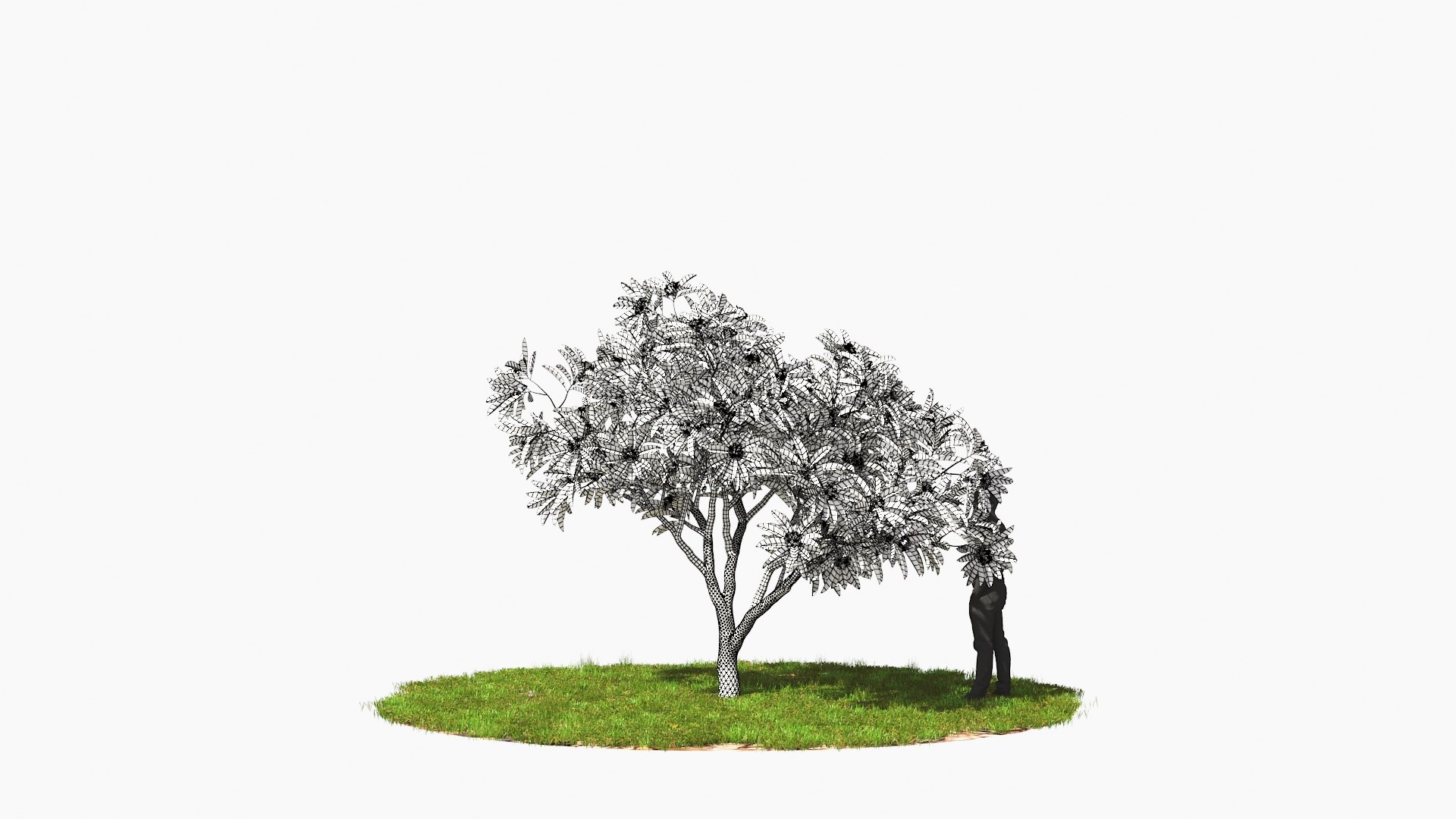 Tree wind animation 3D model - TurboSquid 1505872