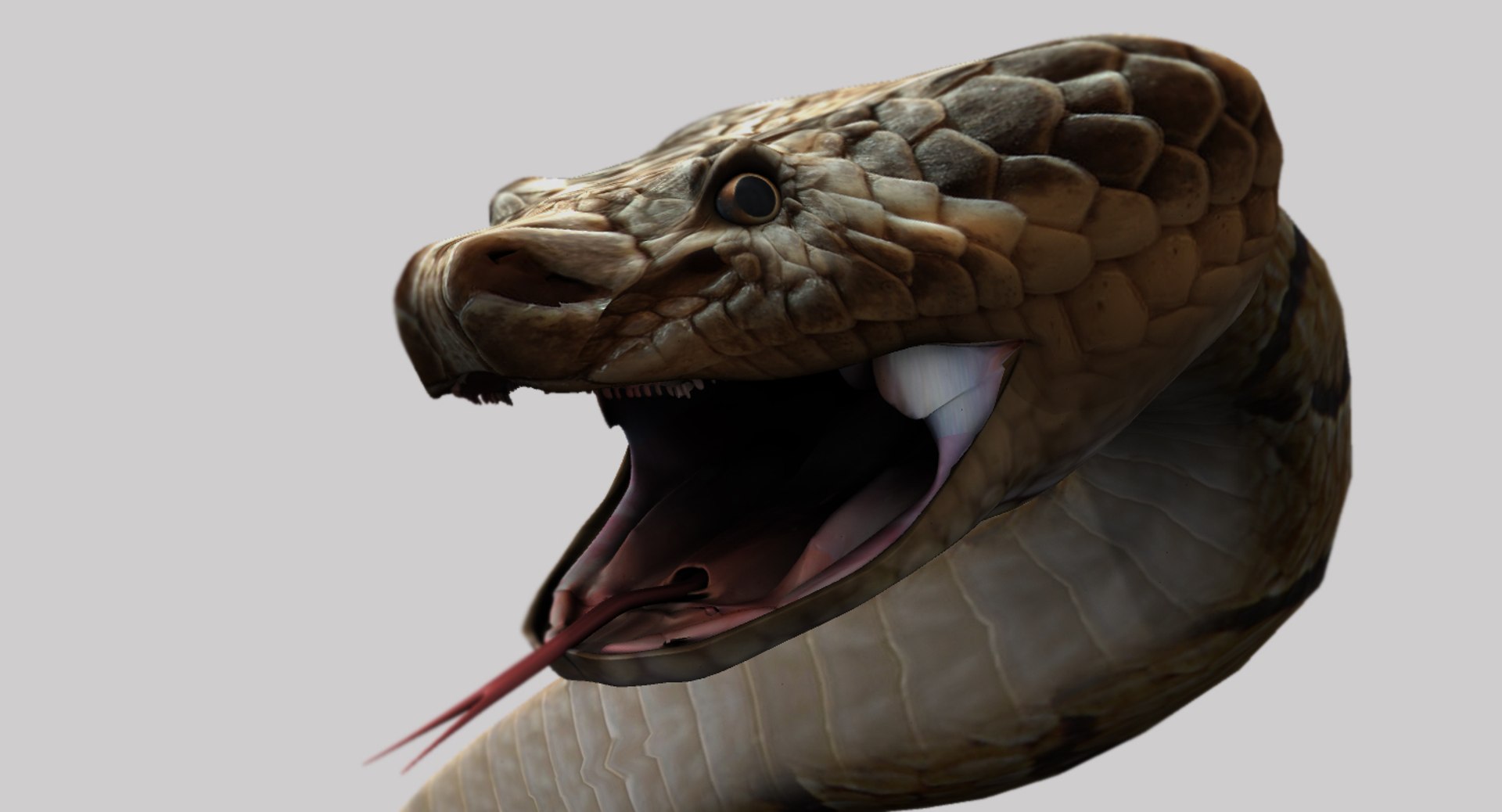 Viper Snake 3D Model - TurboSquid 1433400