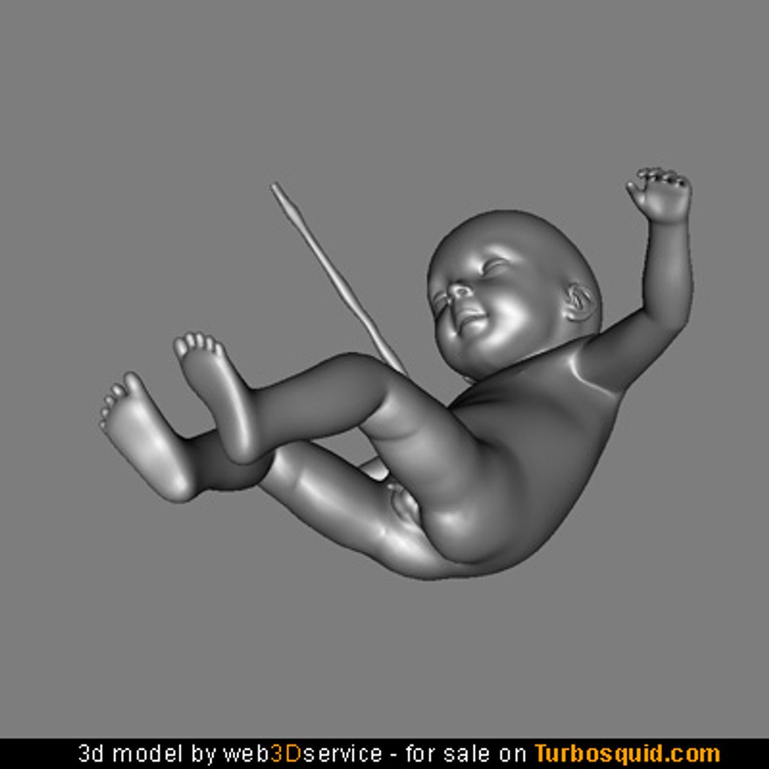 Unborn Child Fetus 3d Model