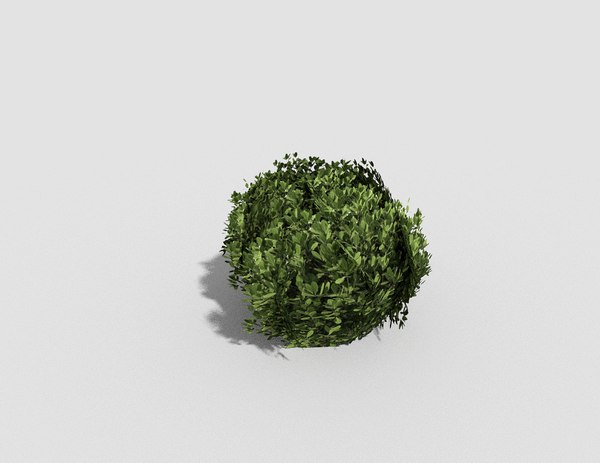 3d model tropical shrub