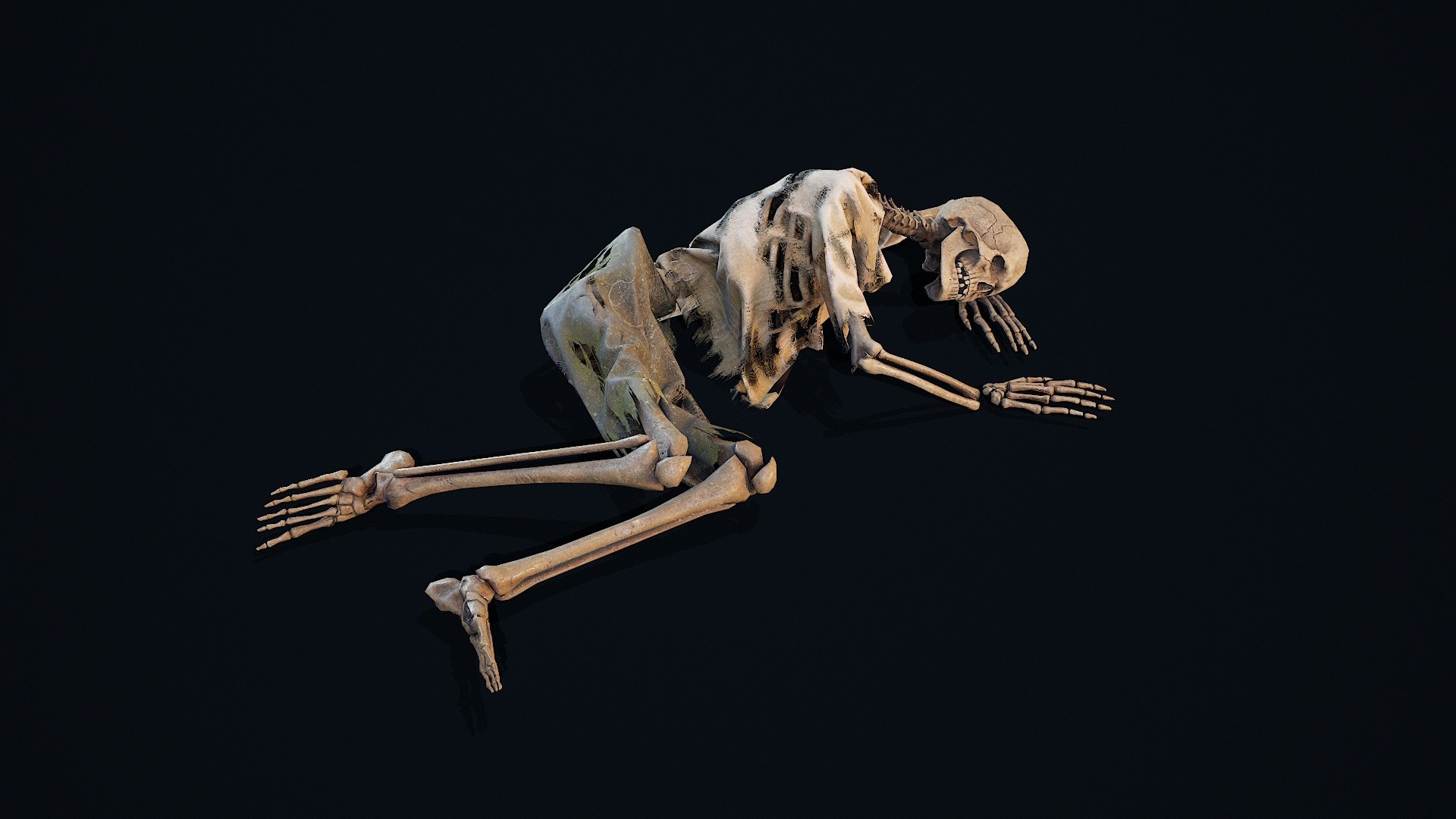 3D Skeleton Remains 6 Model - TurboSquid 2380614