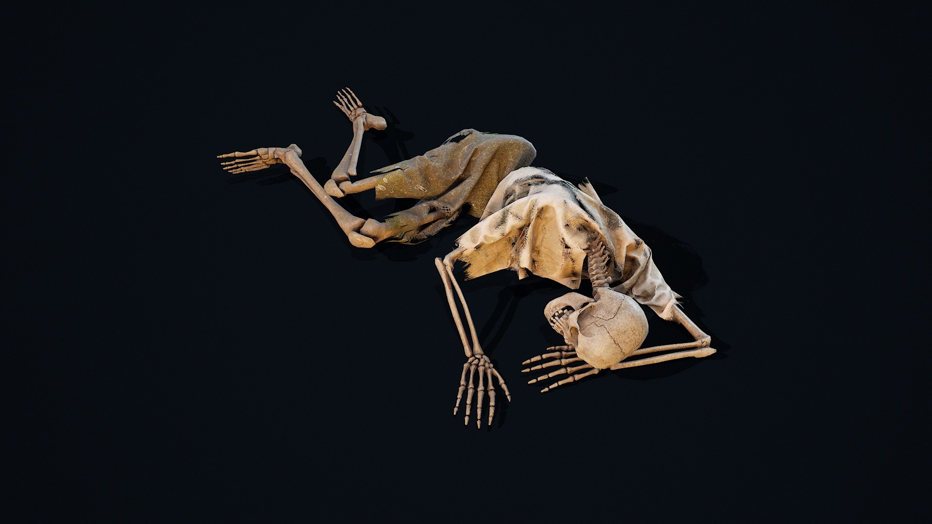 3D Skeleton Remains 6 Model - TurboSquid 2380614
