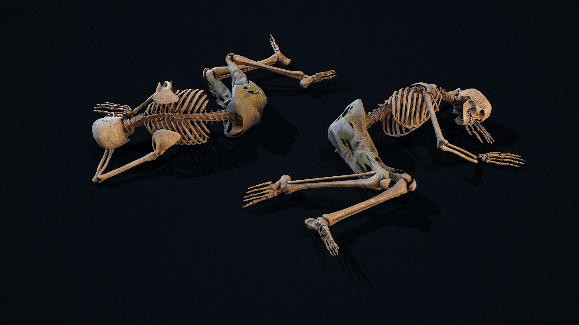 3D Skeleton Remains 6 Model - TurboSquid 2380614