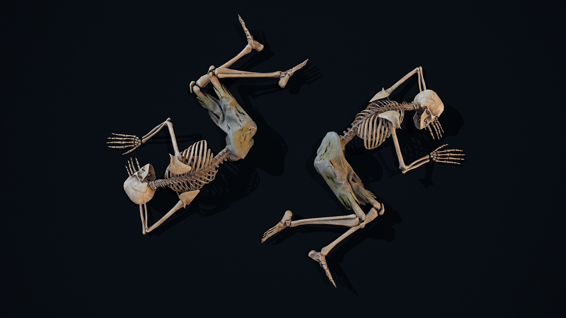 3D Skeleton Remains 6 Model - TurboSquid 2380614