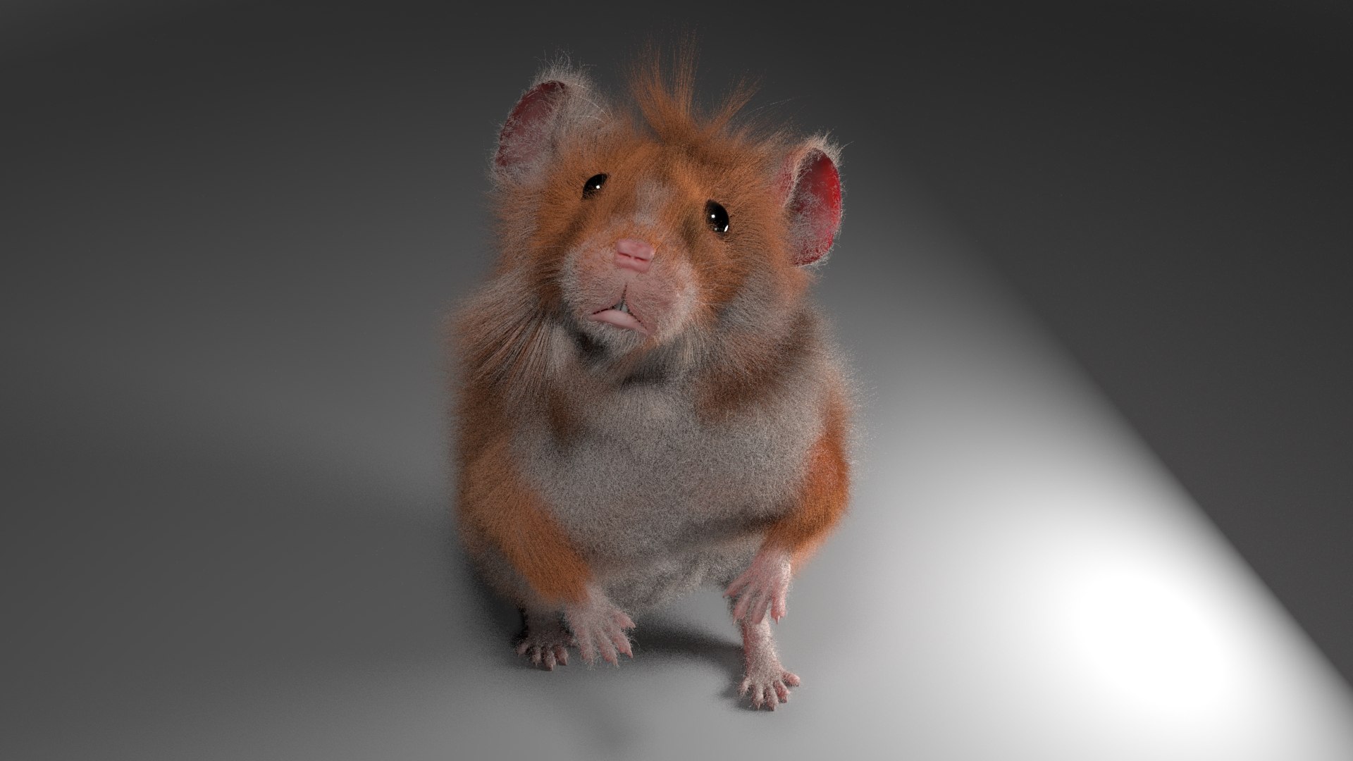 Syrian Hamster 3D Model - TurboSquid 1882607