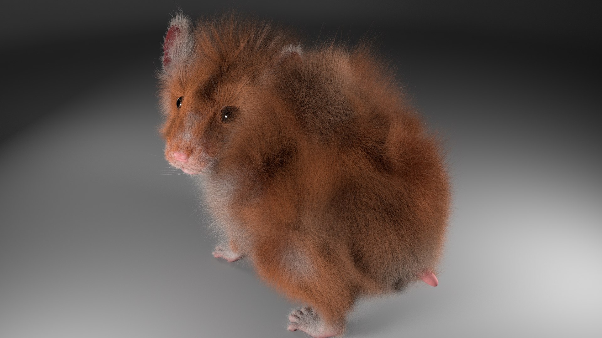 Syrian Hamster 3D Model - TurboSquid 1882607