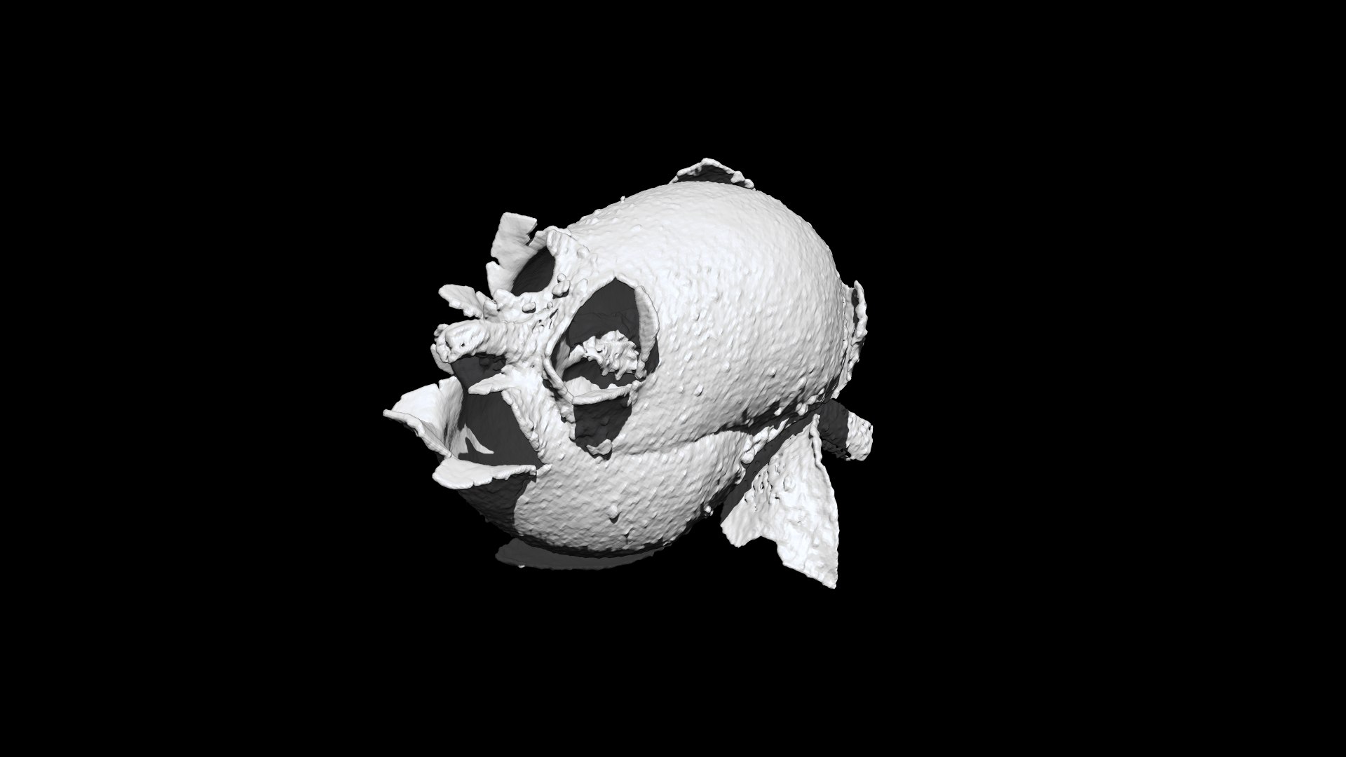 Antirrhinum Majus 3D CT Scan Model Decimate 50 Percent 3D Model ...