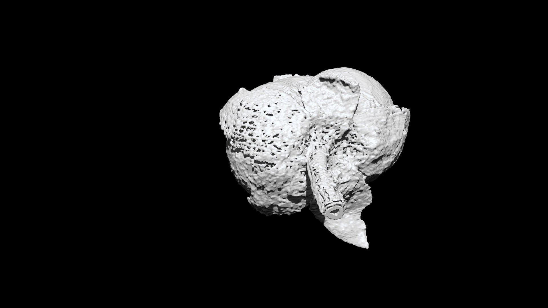 Antirrhinum Majus 3D CT Scan Model Decimate 50 Percent 3D Model ...
