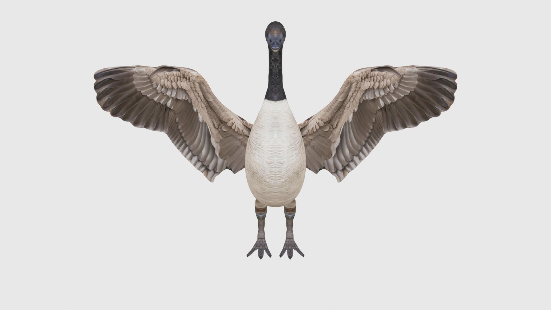 3D Model Low Poly Goose Rigged With Realistic Texture - TurboSquid 1875964