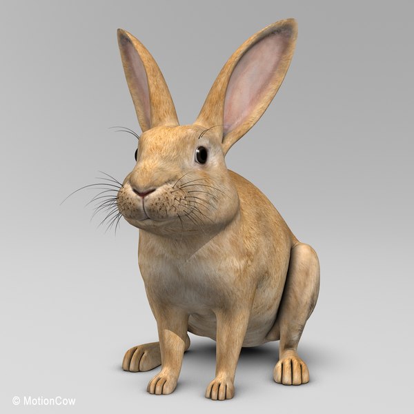 max realistic brown rabbit