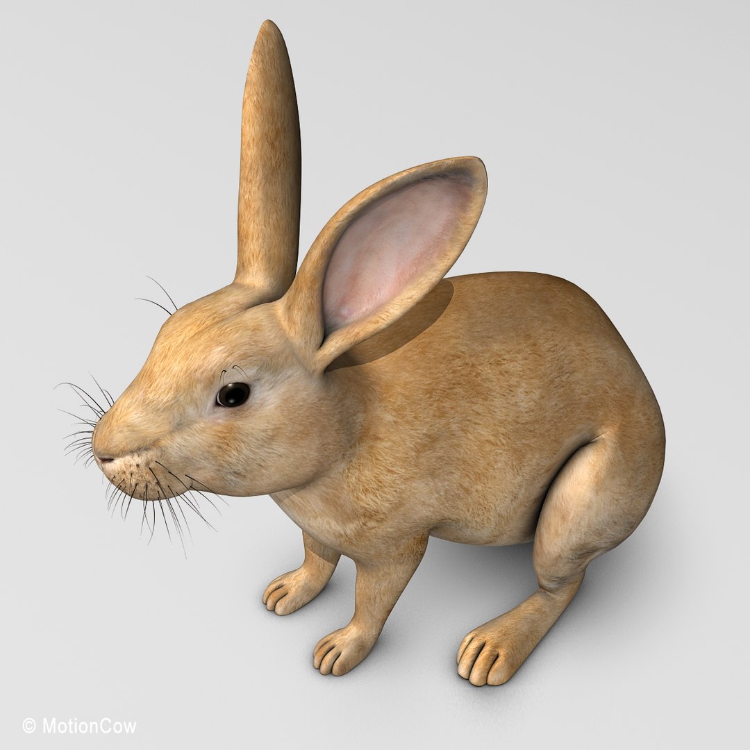 Max Realistic Brown Rabbit