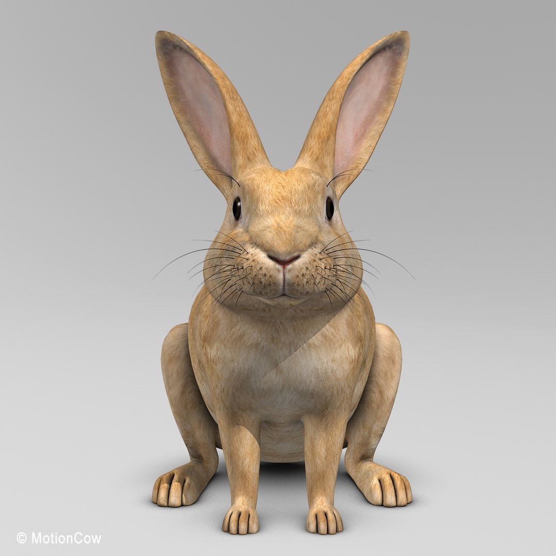 Max Realistic Brown Rabbit