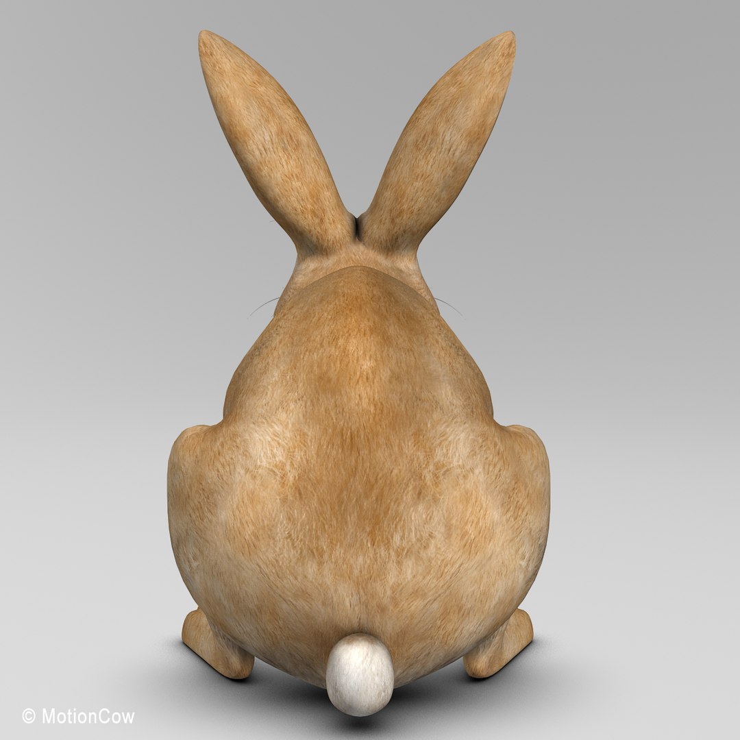 Max Realistic Brown Rabbit