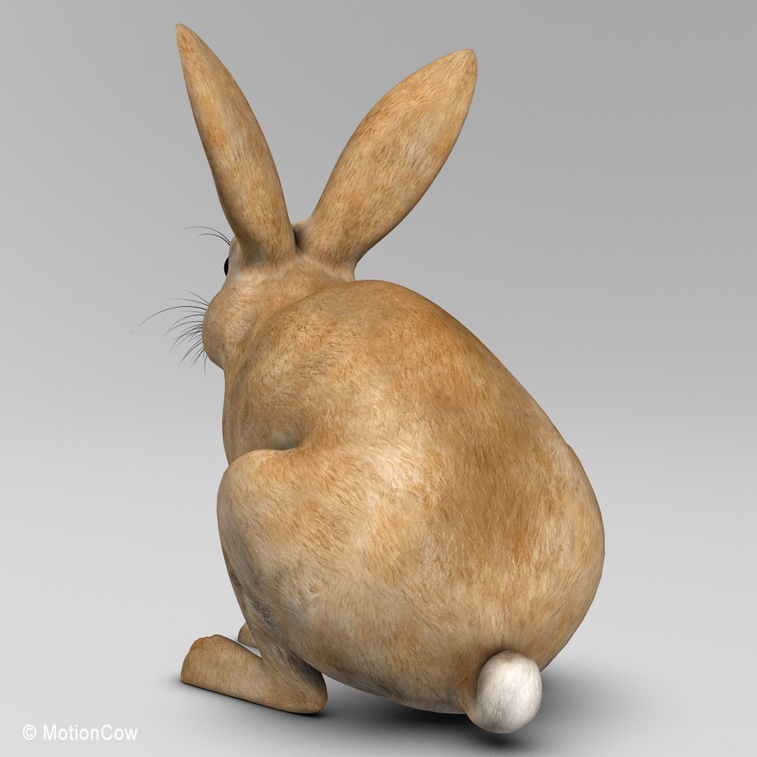 Max Realistic Brown Rabbit