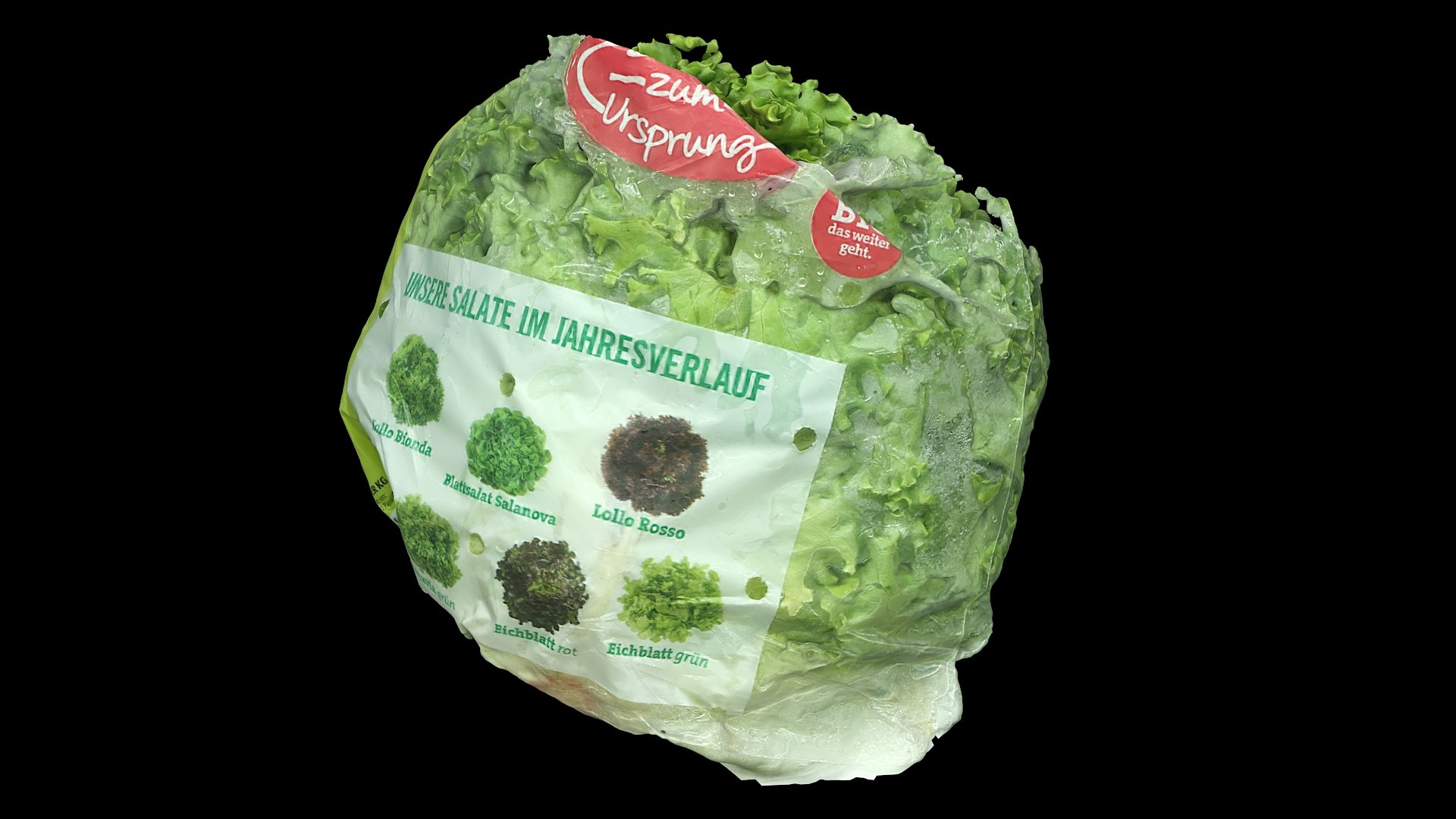 3D model Salad Collection 06 - TurboSquid 1905261