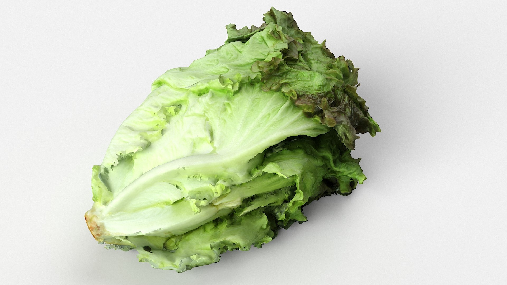 3D model Salad Collection 06 - TurboSquid 1905261