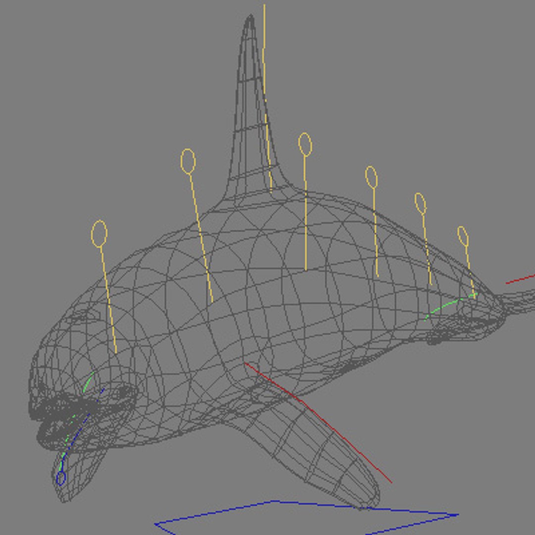 3d photorealistic killer whale