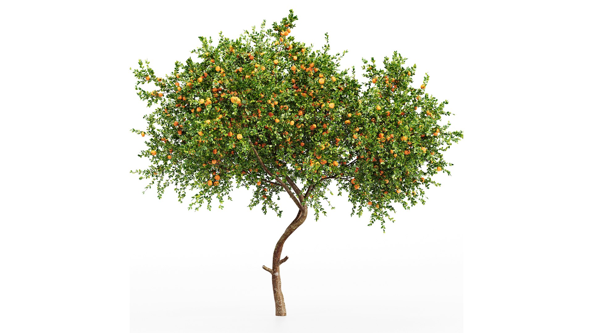 HQ Apple Fruit Orange Fruit Tangerine Fruit Tree 01 3D Model ...