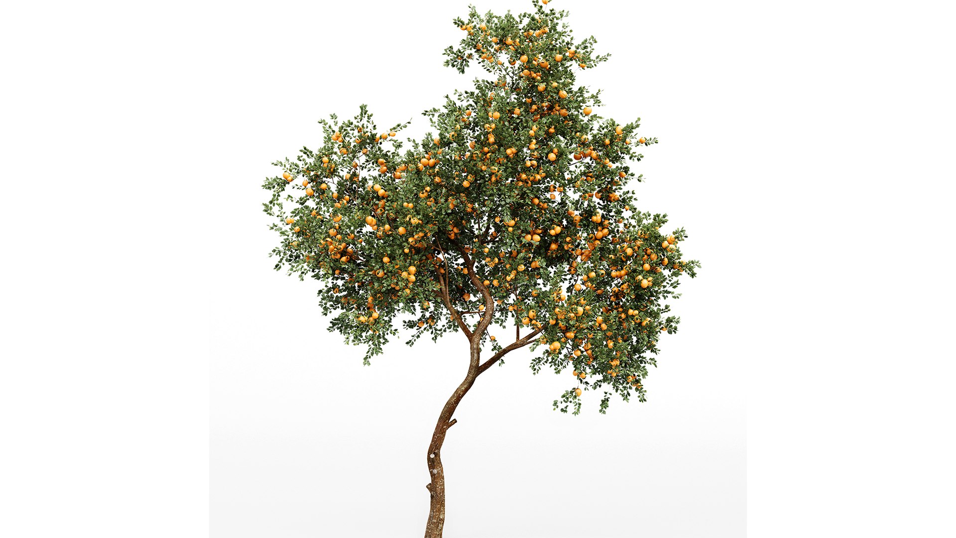 HQ Apple Fruit Orange Fruit Tangerine Fruit Tree 01 3D Model ...