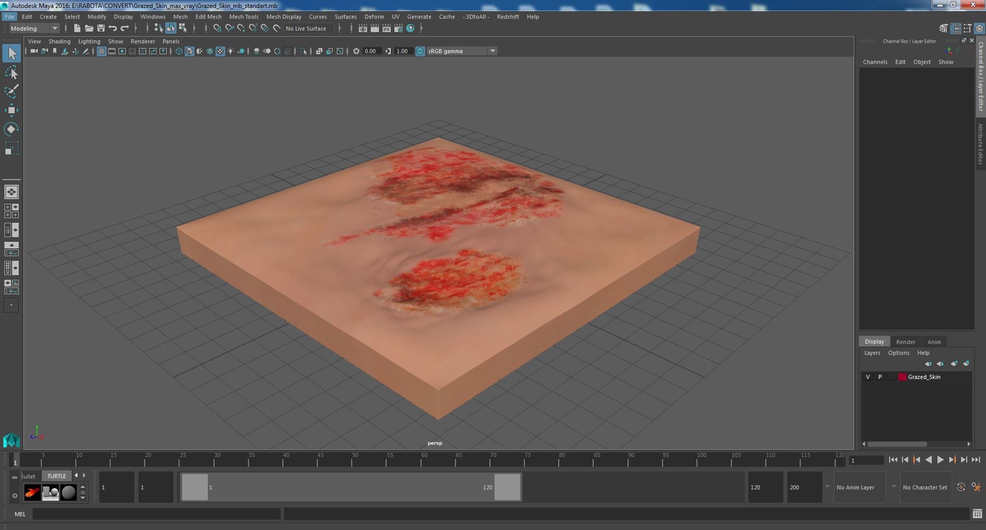 3D Grazed Skin - TurboSquid 2161287