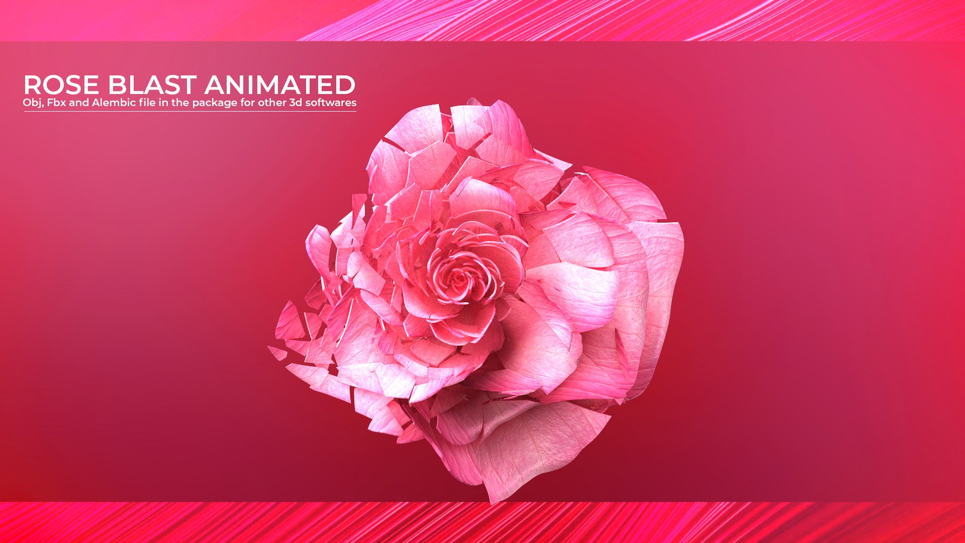 3D Rose Blast Animated - TurboSquid 1816317