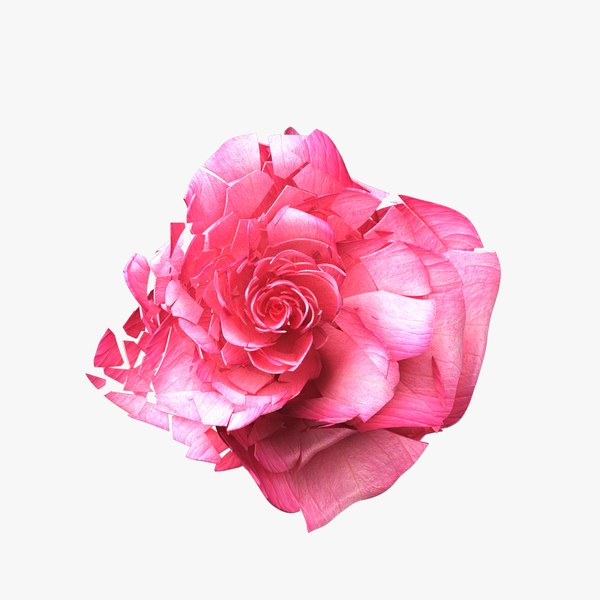 Rose blooming animation 3D - TurboSquid 1643622