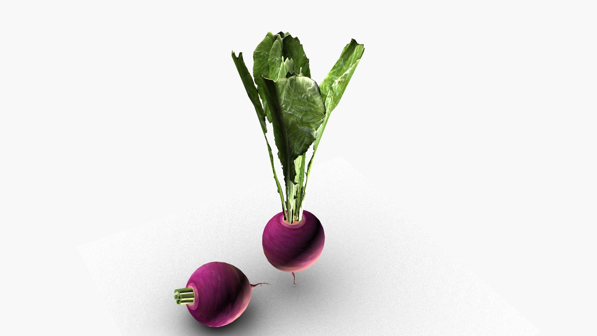 Turnip 3D - TurboSquid 1906653