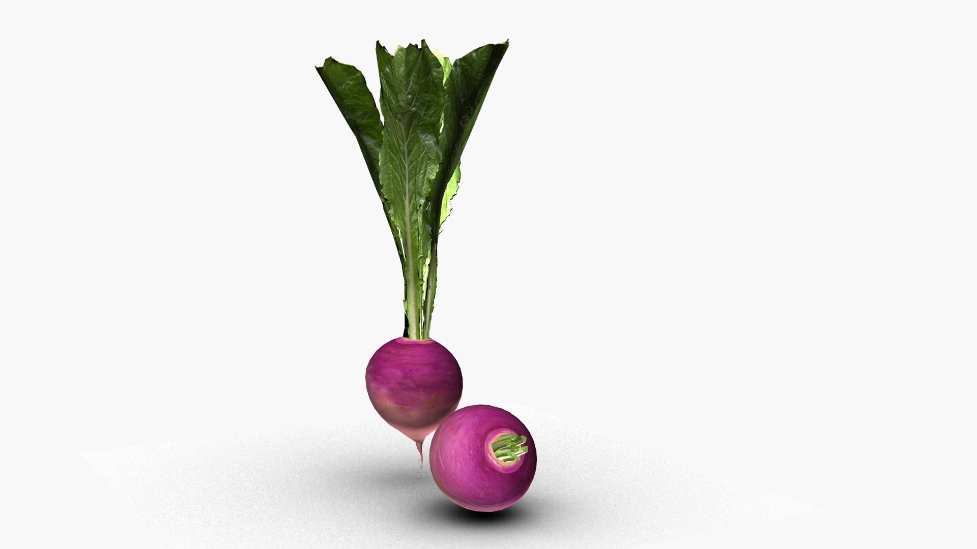 Turnip 3D - TurboSquid 1906653