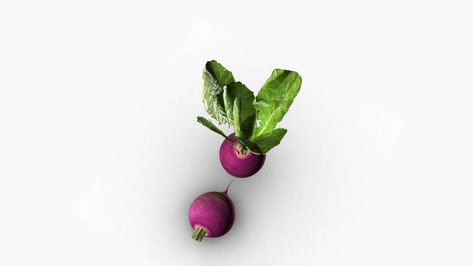 Turnip 3D - TurboSquid 1906653