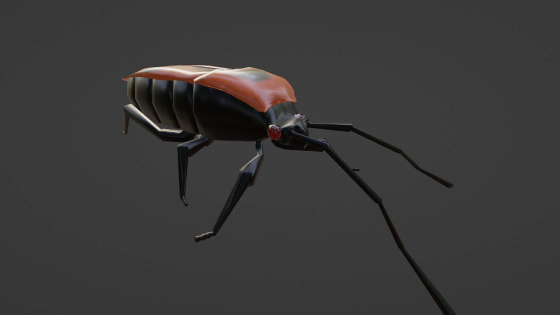 Firebug Pyrrhocoris Apterus Animated 3D Model - TurboSquid 2005828
