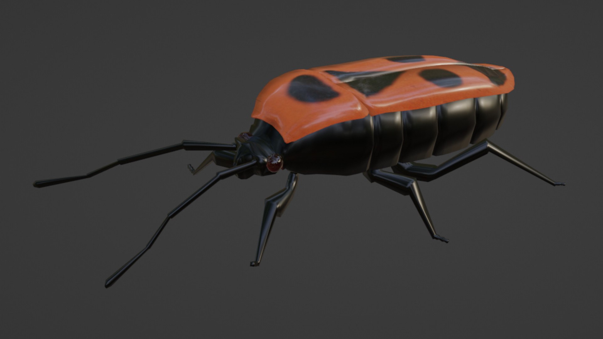 Firebug Pyrrhocoris Apterus Animated 3D Model - TurboSquid 2005828