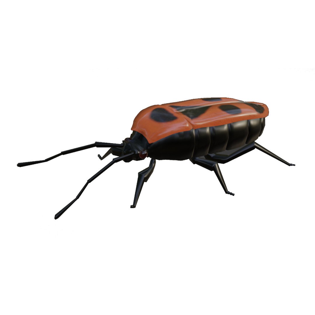 Firebug Pyrrhocoris Apterus Animated 3D Model - TurboSquid 2005828