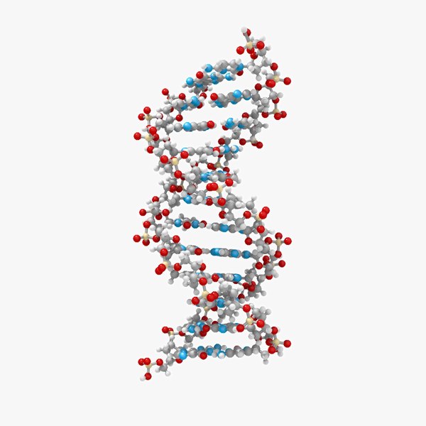 Free 3D Dna Models | TurboSquid