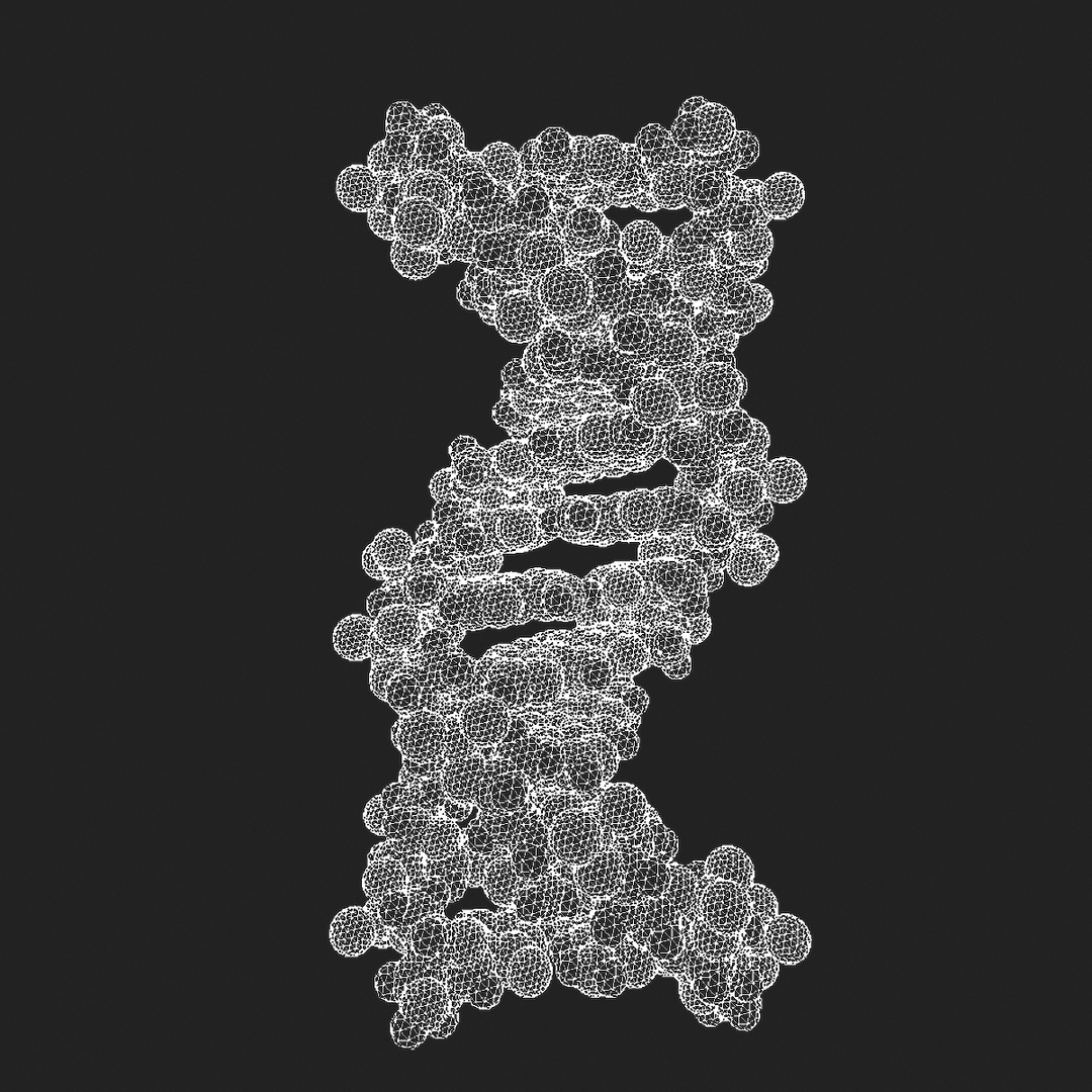 3d dna double