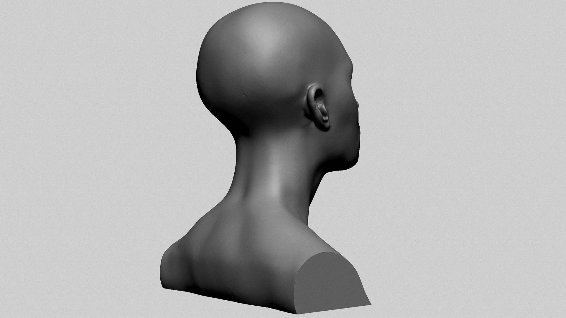 Female Head Form 3D Model - TurboSquid 1891992