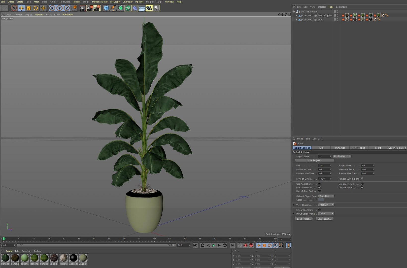 3D Model Plants Collection 818 - TurboSquid 1963733