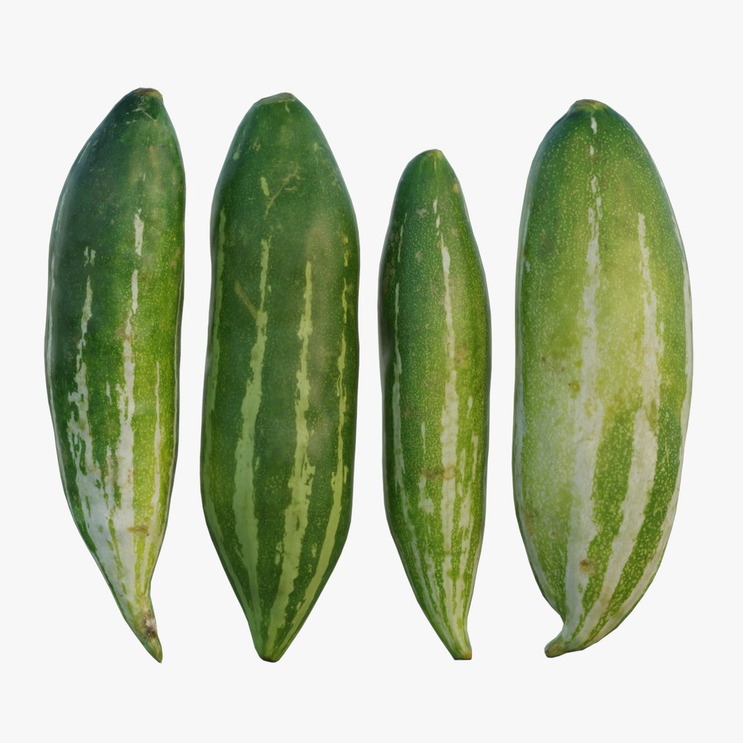 3D Snake Gourd - TurboSquid 1921971