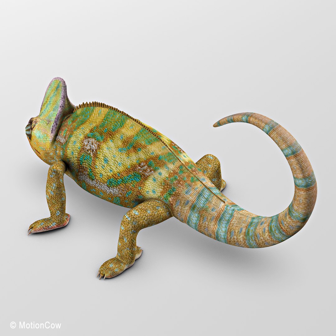 Chameleon Color 3d Max