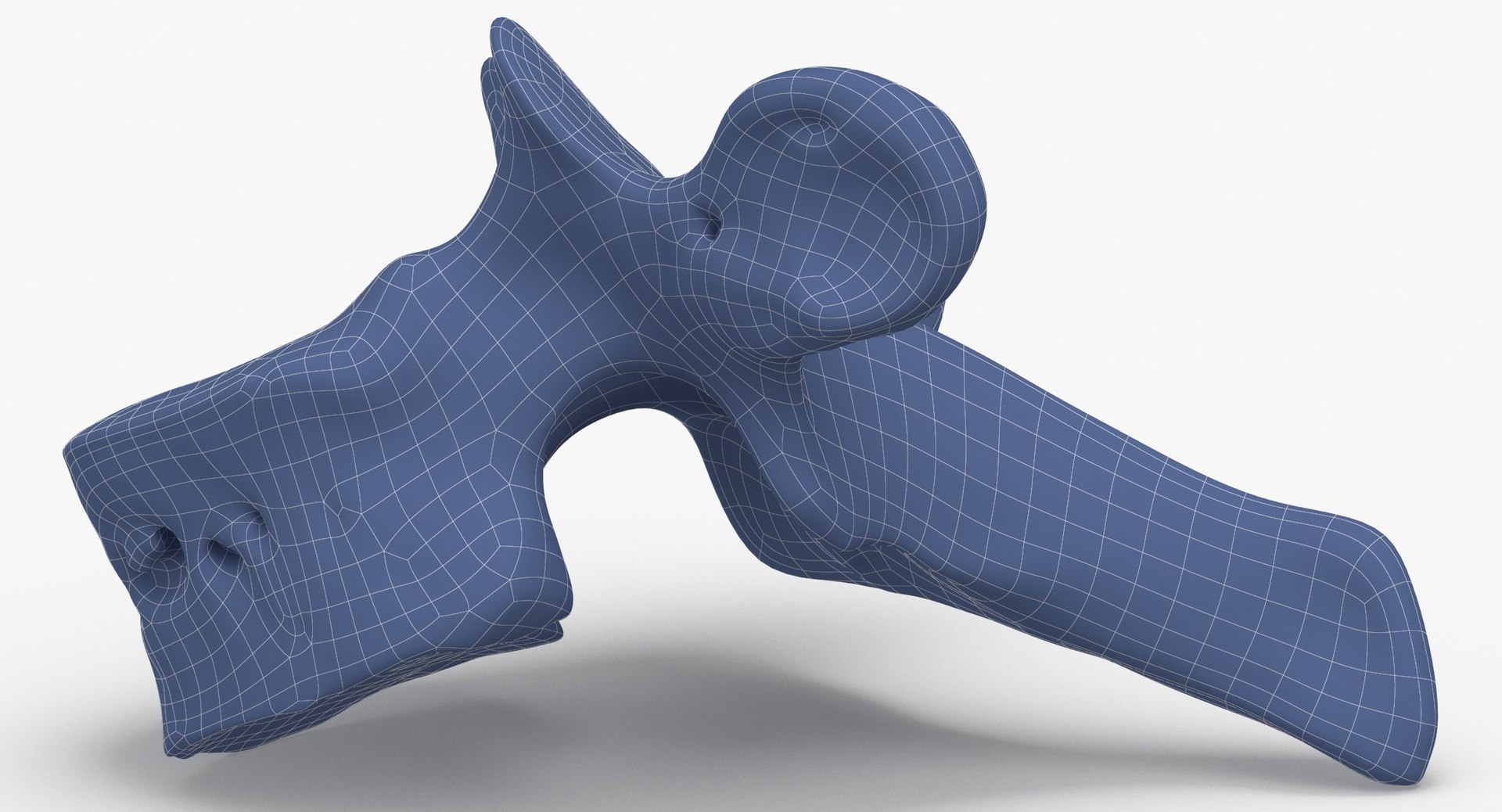 3D Model Thoracic Vertebrae Th1 Th12 - TurboSquid 1520447