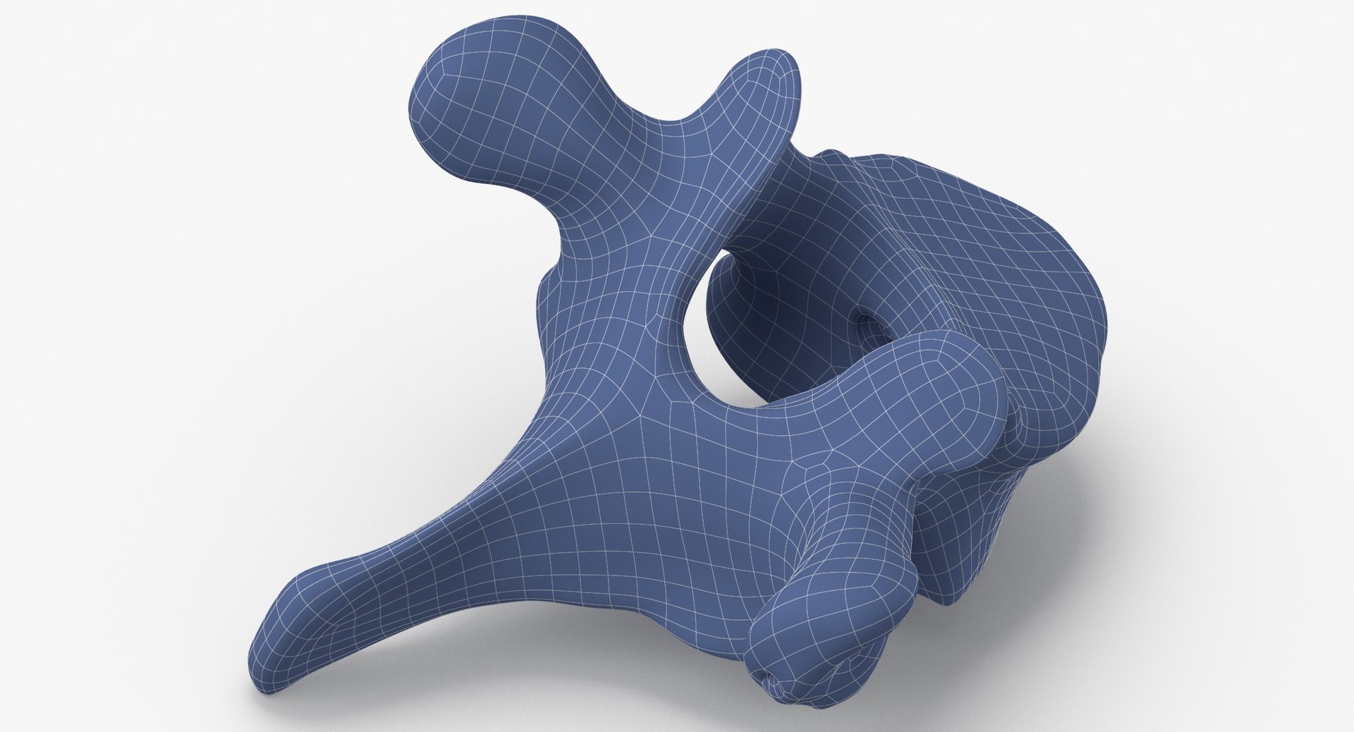 3D Model Thoracic Vertebrae Th1 Th12 - TurboSquid 1520447