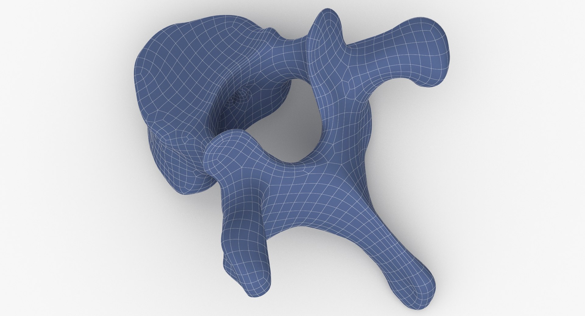 3D Model Thoracic Vertebrae Th1 Th12 - TurboSquid 1520447