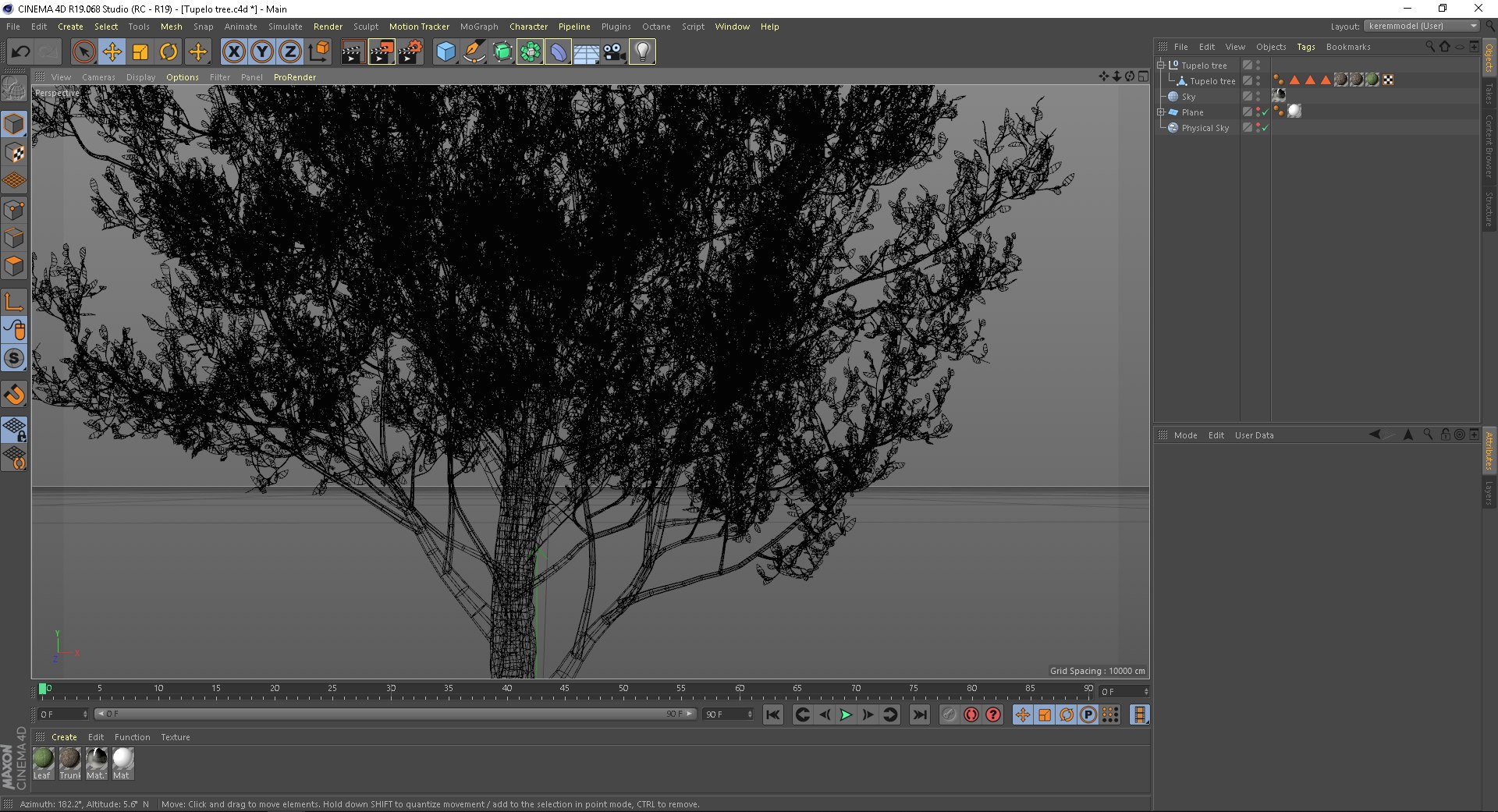 Tupelo Tree 3D - TurboSquid 1401177